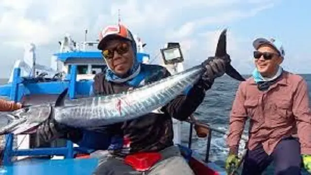 Mengenal Mancing Mania yang Tayang di Trans7, Ini Penjelasan Lengkapnya ...
