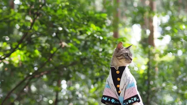 6 Kucing Pakai Baju Karakter Anime Demon Slayer Ini Gemas Banget - Hot ...