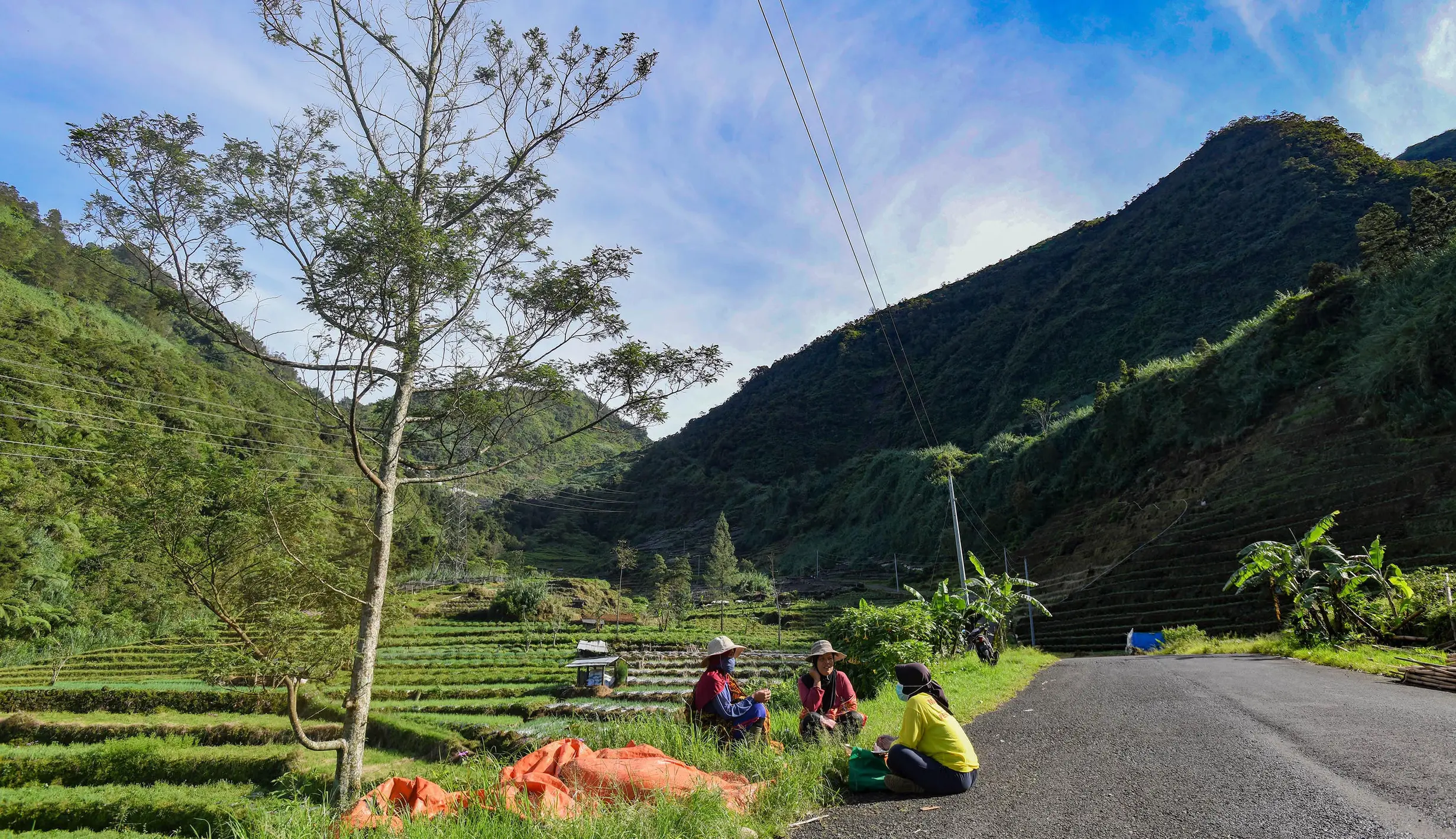 Menikmati Keindahan Swiss Van Java di Jalur Alternatif Wonosobo-Dieng ...