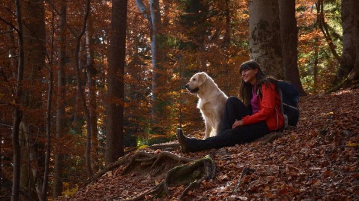 Unik, Anjing Ini Jadi Teman Terbaik untuk Mendaki Gunung