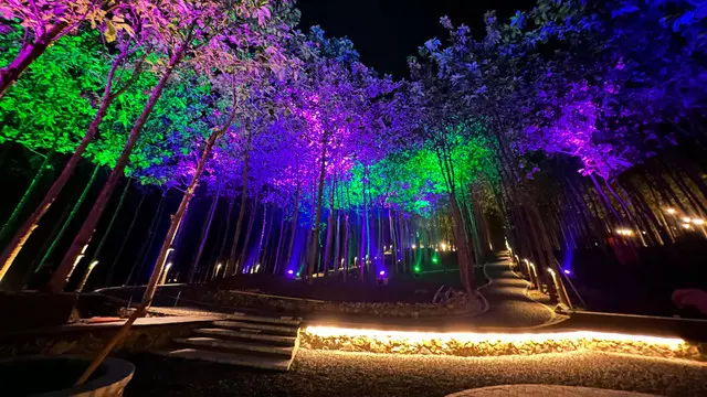 Bukit Aslan Lampung Kini Punya The Magical Forest, Destinasi Wisata ...