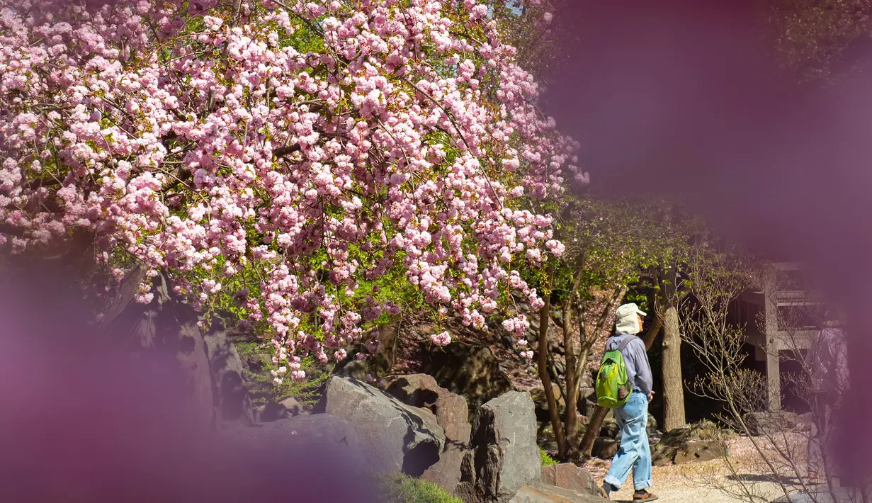 FOTO: Melihat Aktivitas Masyarakat Eropa Saat Musim Semi - Foto ...