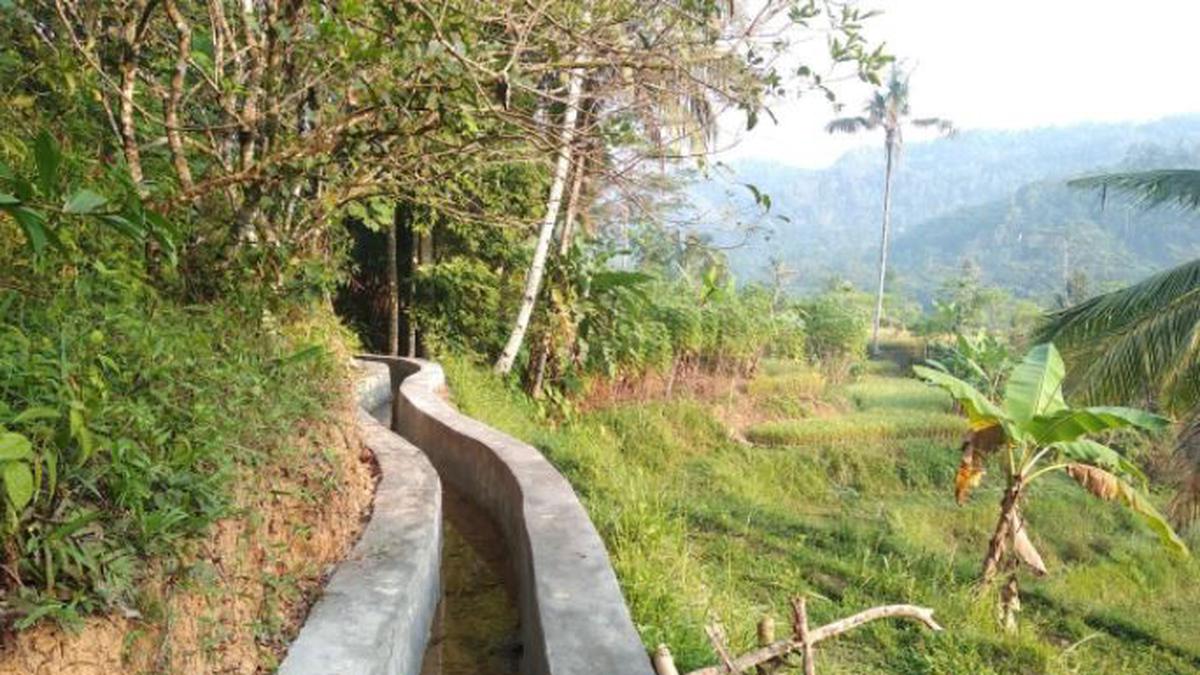 Kementan Dukung Pertanian di Bayah-Lebak dengan RJIT - Bisnis Liputan6.com