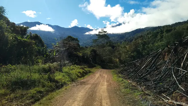 6 Fakta Menarik Gunung Sinsing di Perbatasan Kalimantan dan Malaysia ...