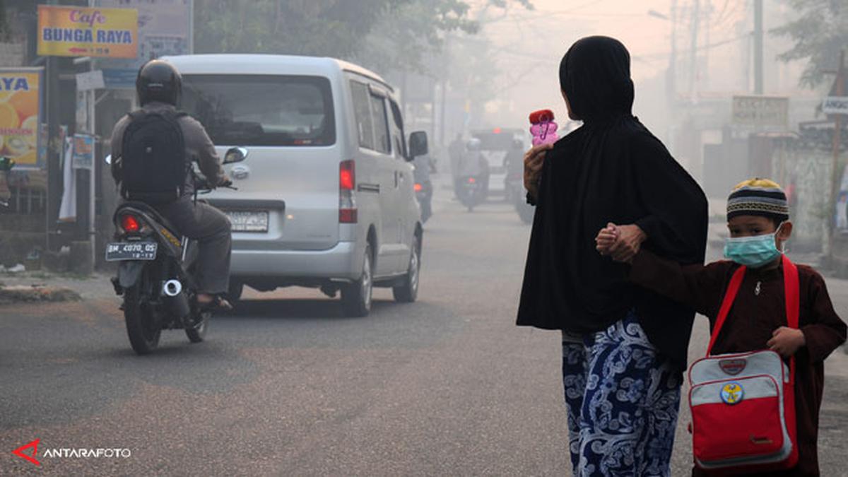 Kabut Asap Riau Potensial Cemari Malaysia - Health Liputan6.com