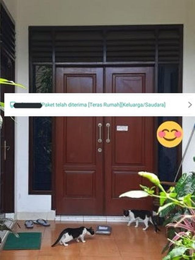 6 Potret Kucing Terima Paket dari Kurir Ini Bikin Geleng Kepala