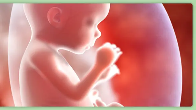 Ini Untungnya Daftar Janin ke BPJS Sejak Dini - Health Liputan6.com