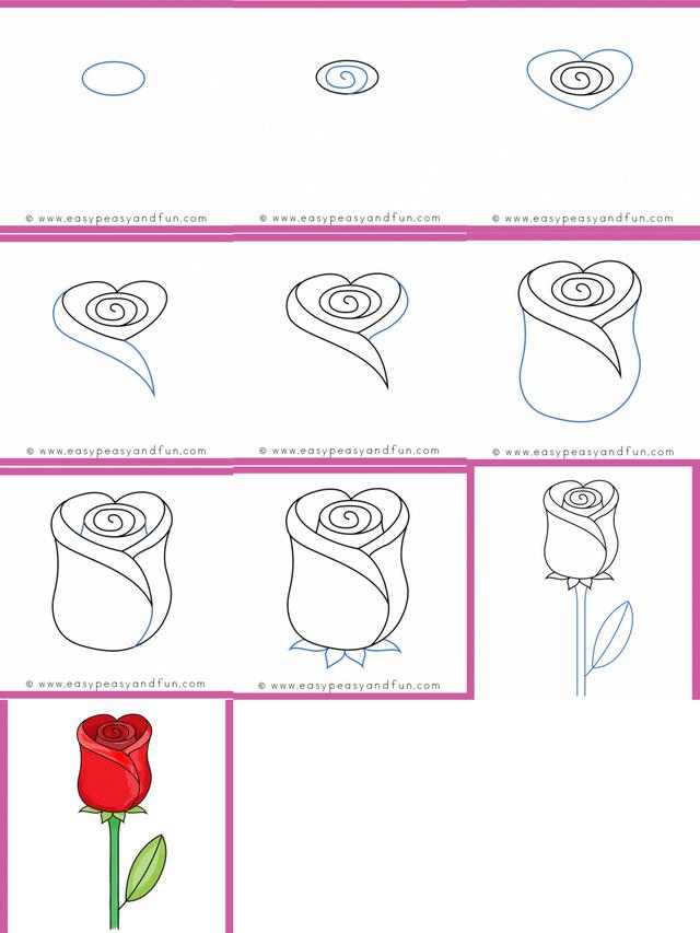 Cara Menggambar Bunga yang Mudah, dari Mawar, Tulip, Hingga Teratai