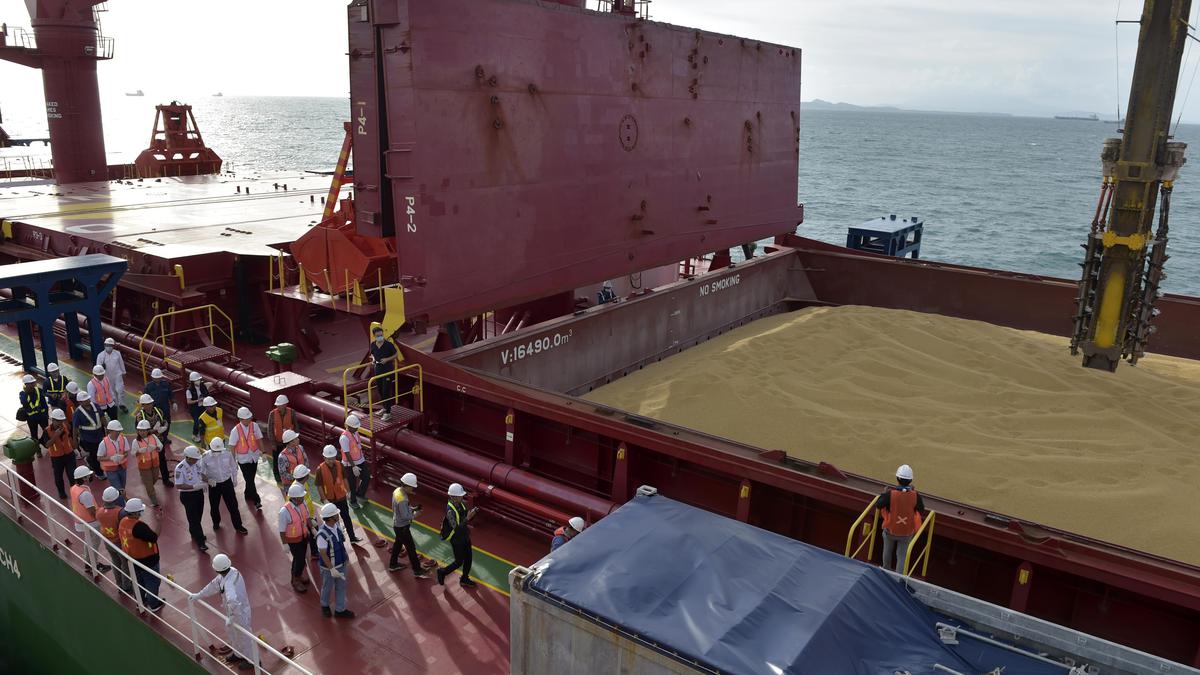 56 Ribu Ton Kedelai Impor Tiba, Harganya Rp 11.000 per Kg - Bisnis ...