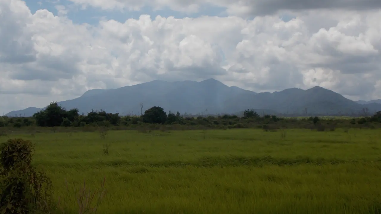 6 Fakta Menarik Gunung Palung di Kalimantan Barat yang Satu Kawasan ...