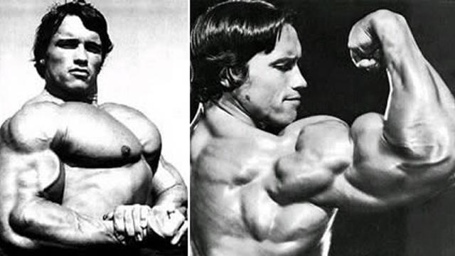 6 Binaragawan Ini Bentuk Tubuhnya Sangat Ekstrem - Citizen6 Liputan6.com