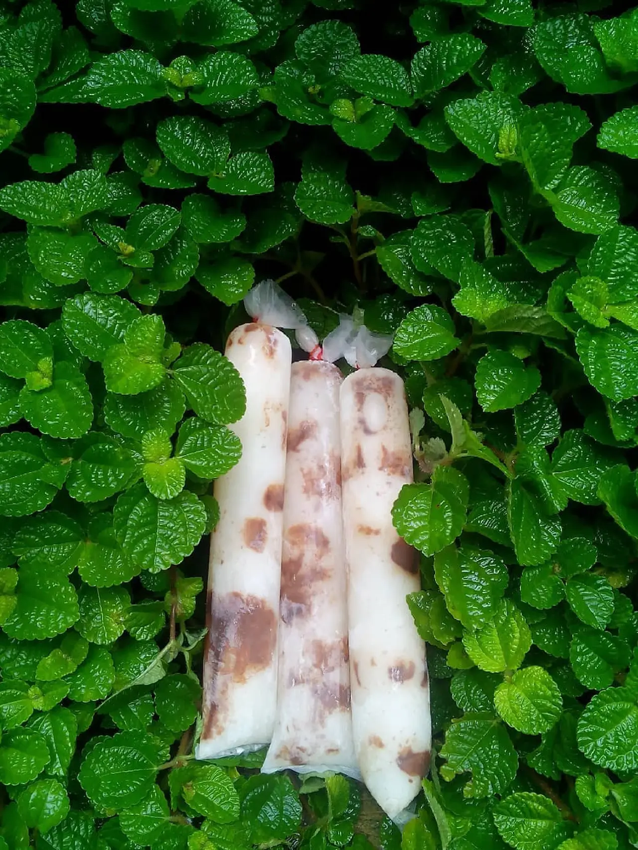 Resep Es Mambo Choki-Choki, Camilan Nikmat Temani Waktu Bersantai ...