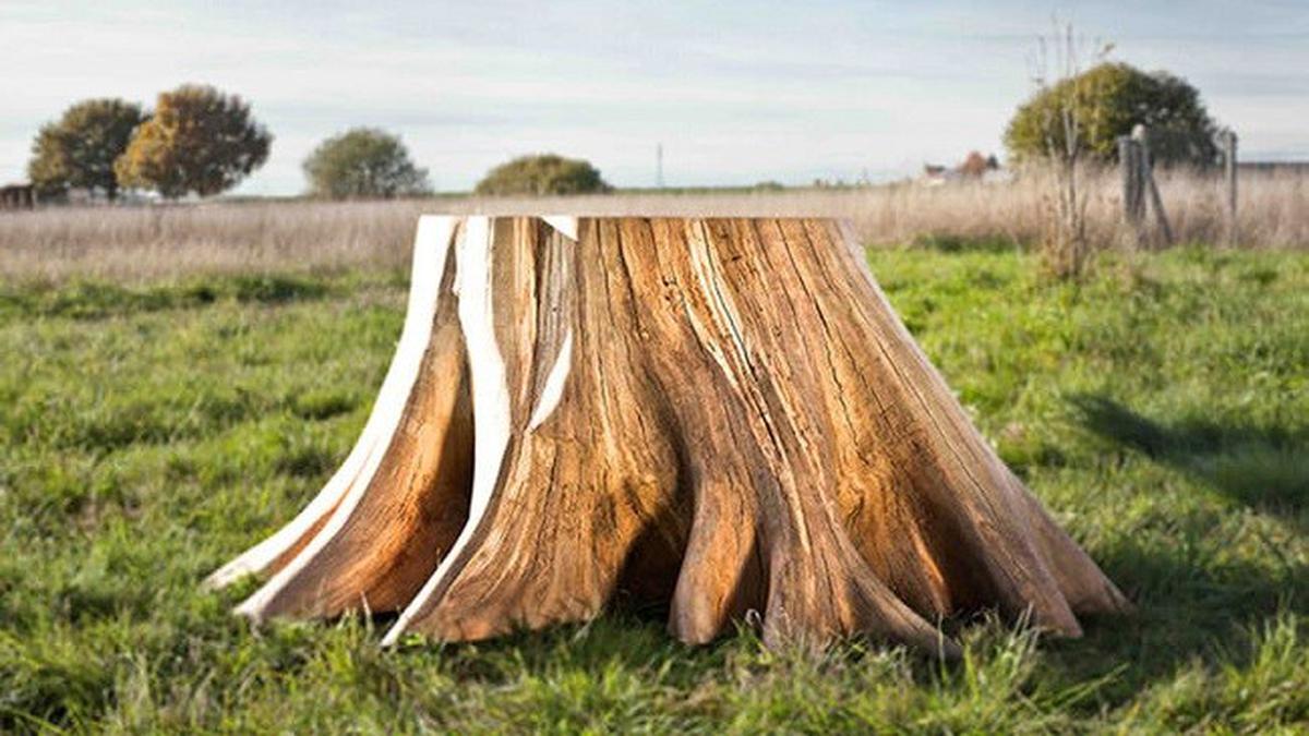 Akar Pohon Ini Disulap Menjadi Meja yang Bernilai Seni - Lifestyle ...