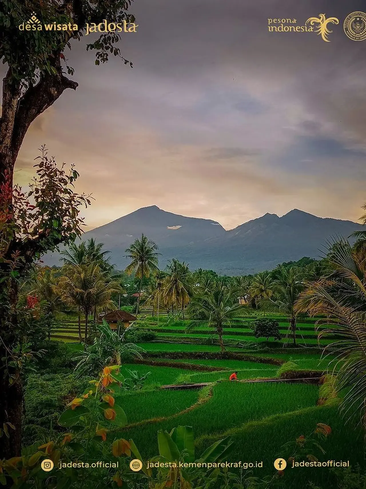 Menikmati Keindahan Sawah dan Hutan Adat Desa Wisata Bayan Lombok ...