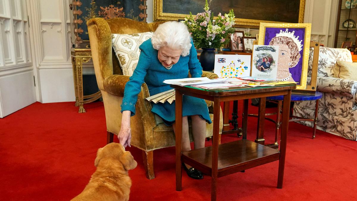 Anjing Corgi Ratu Elizabeth II Bakal Dipelihara Pangeran Andrew dan Fergie