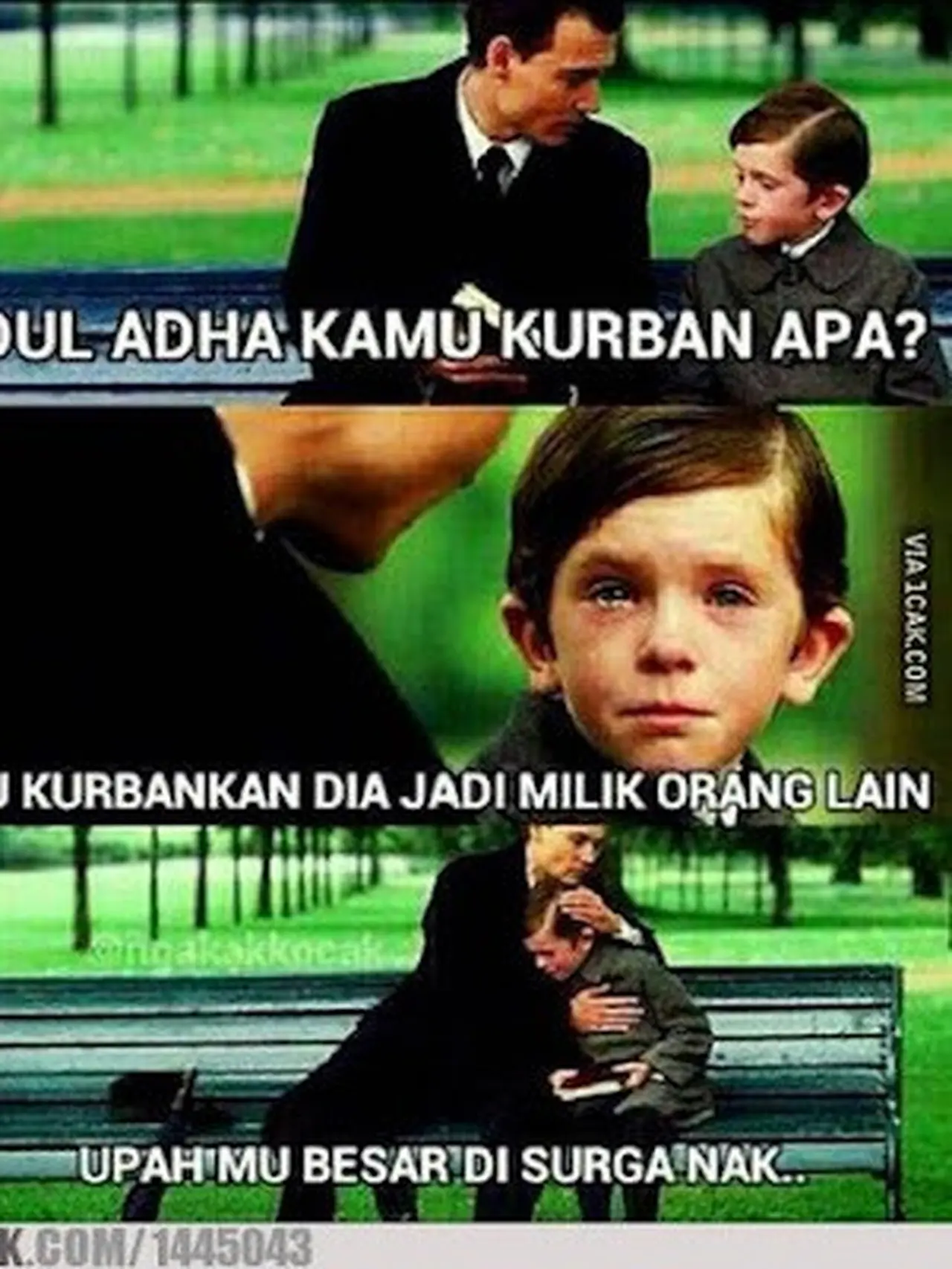 12 Meme Kurban Idul Adha Lucu, Menyamar Untuk Menghindari Nasib - Hot ...