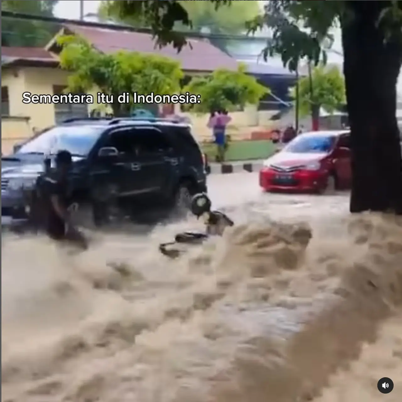 6 Potret 'Winter' di Indonesia Ini Bikin Senyum Tipis, Beda dari Negara ...
