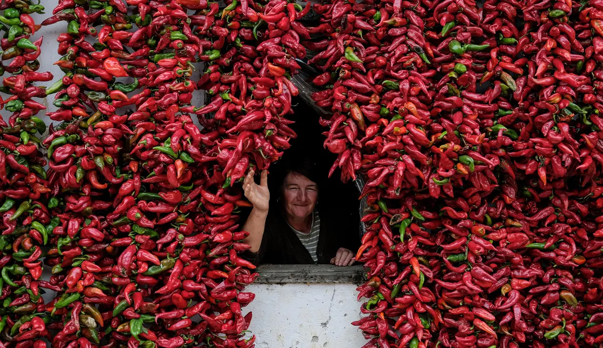 Kampung Merah, Desa di Serbia yang Rumah Warganya Berselimut Paprika ...