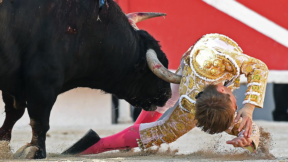 FOTO: Momen Mengerikan Saat Matador Ditanduk Banteng - Foto Liputan6.com