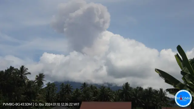 Gunung Ibu Kembali Erupsi, Semburkan Abu Vulkanik Setinggi 800 Meter - Regional Liputan6.com