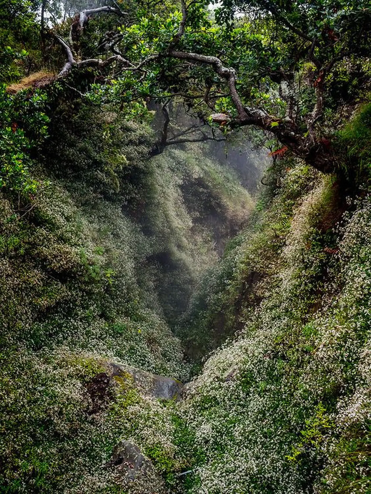 Mistis Gunung Rinjani: Ancaman Dunia Jin dan Legenda Dewi Anjani ...