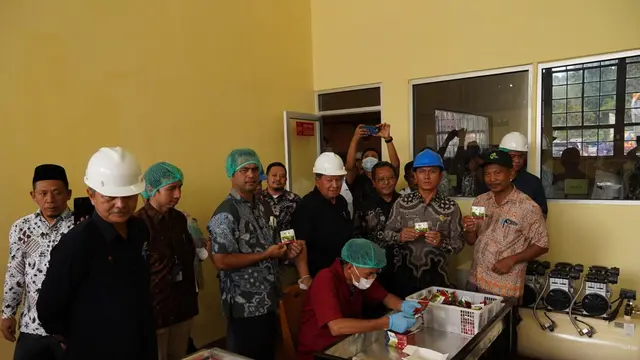 Resmikan Pabrik Pengemasan Teh Retail, PTPN Group Incar Pasar Eropa ...