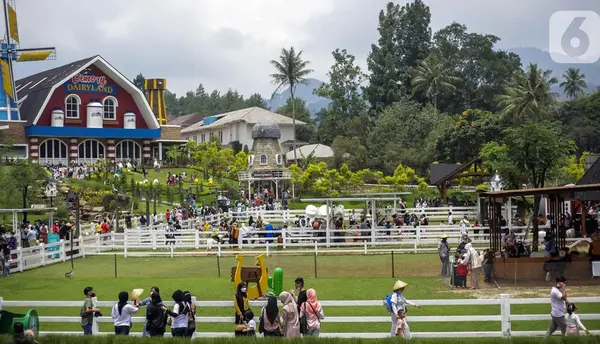 Contoh Distorsi dan Pengertiannya dalam Berbagai Bidang - Hot Liputan6.com