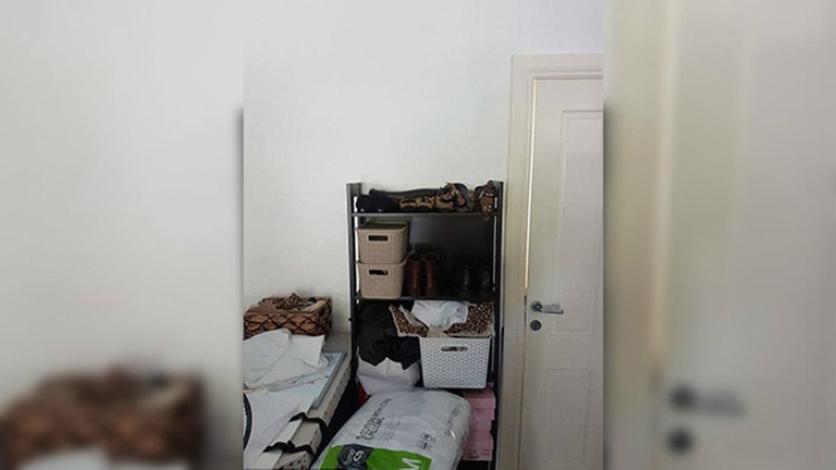 Dapatkah Anda Temukan Ular Perut Merah di Foto Ini? - Global Liputan6.com