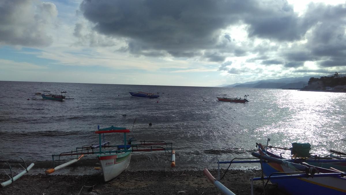 Bermain dengan Gerombolan Hiu Paus di Pantai Botu Barani - Regional ...