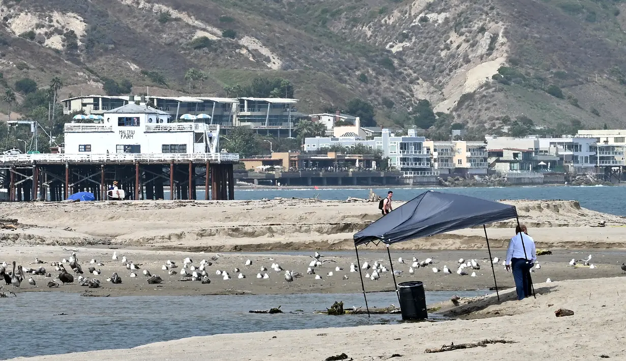 Geger Penemuan Mayat Pria dalam Tong di Pantai Malibu California - Foto ...
