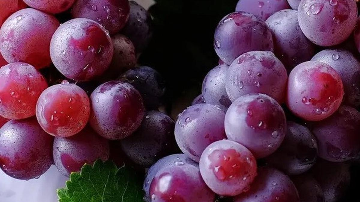 Tidak Perlu Dibilas Air, Begini Cara Sederhana Hilangkan Lapisan Lilin ...