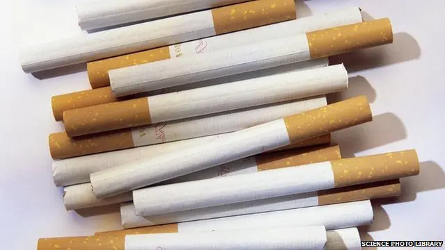 Menipu, Bila Disebut Rokok Herbal Baik untuk Kesehatan - Health ...