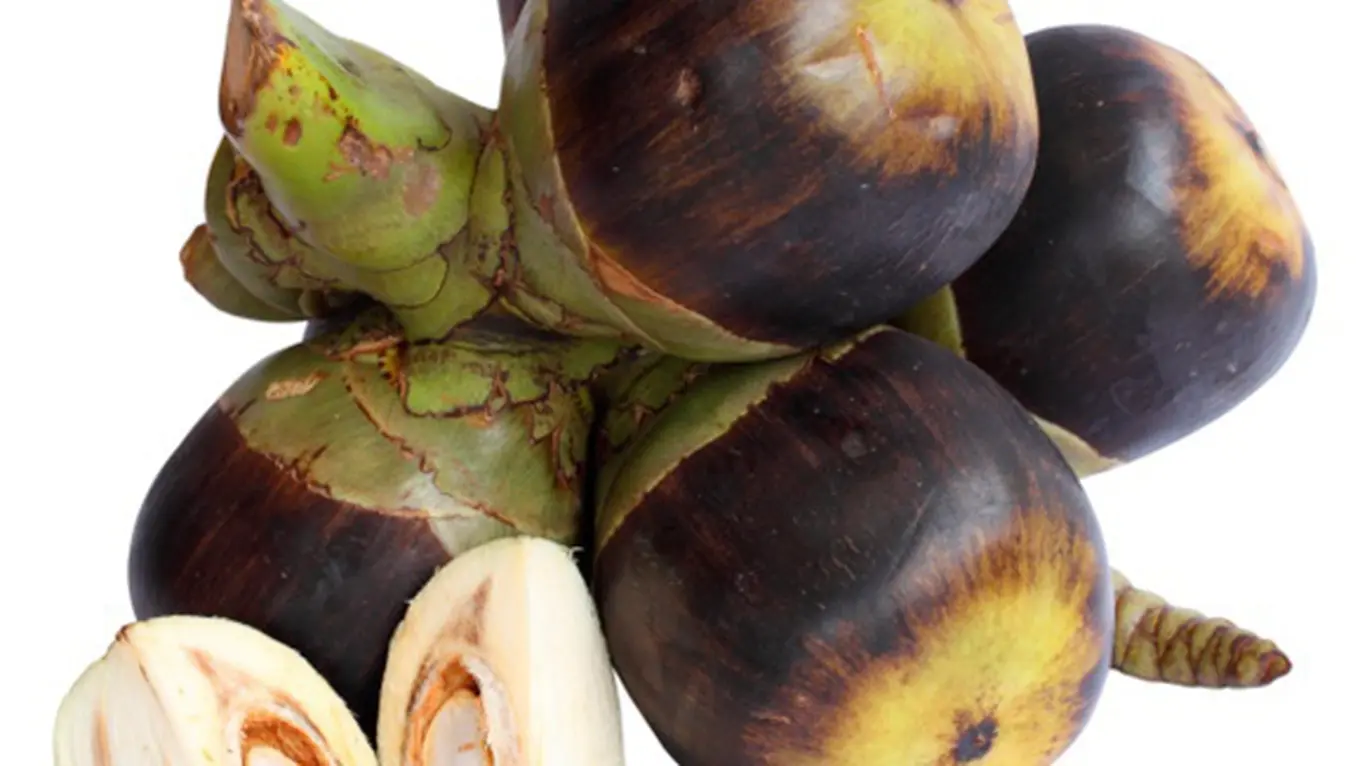 Siwalan, Si Buah Langka Yang Memiliki Banyak Manfaat Sehat