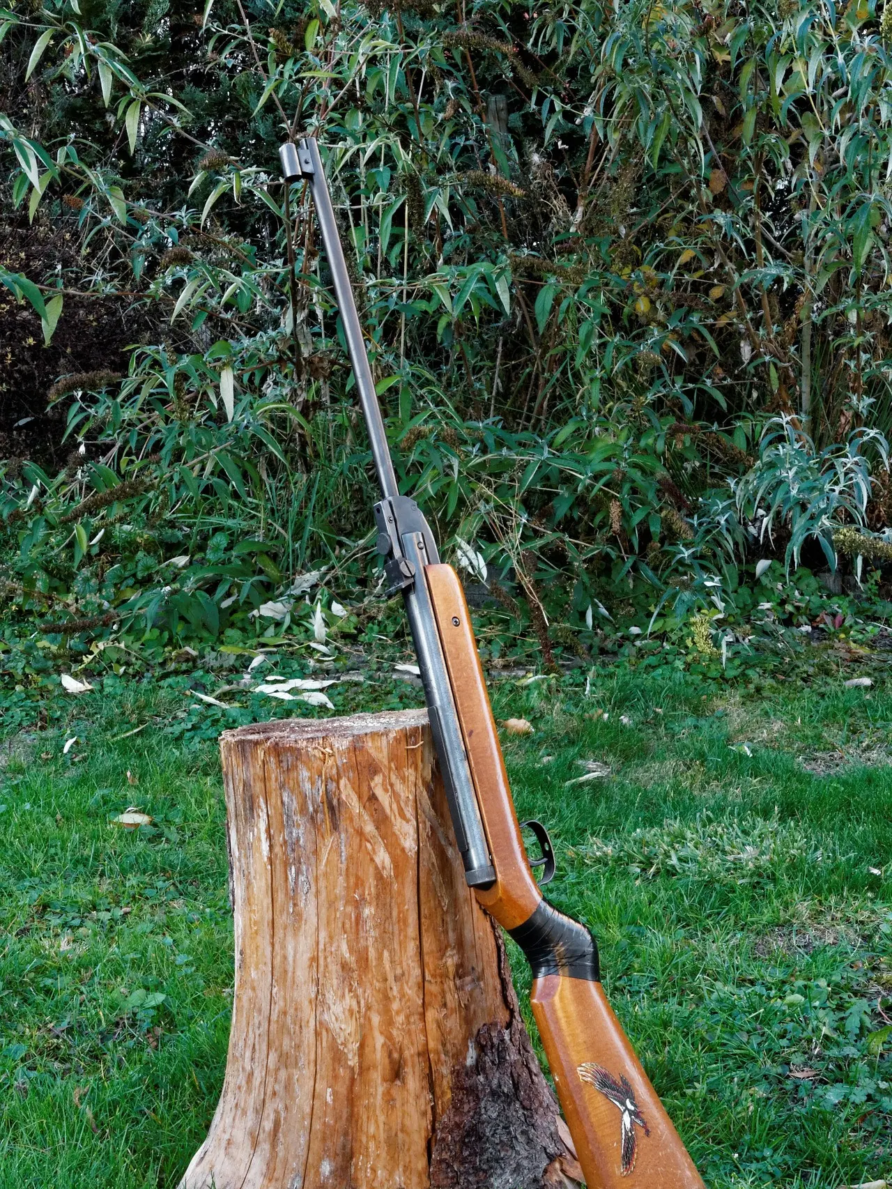 Jenis Senapan Angin Secara Umum Beserta Kaliber dan Proyektilnya - Hot ...