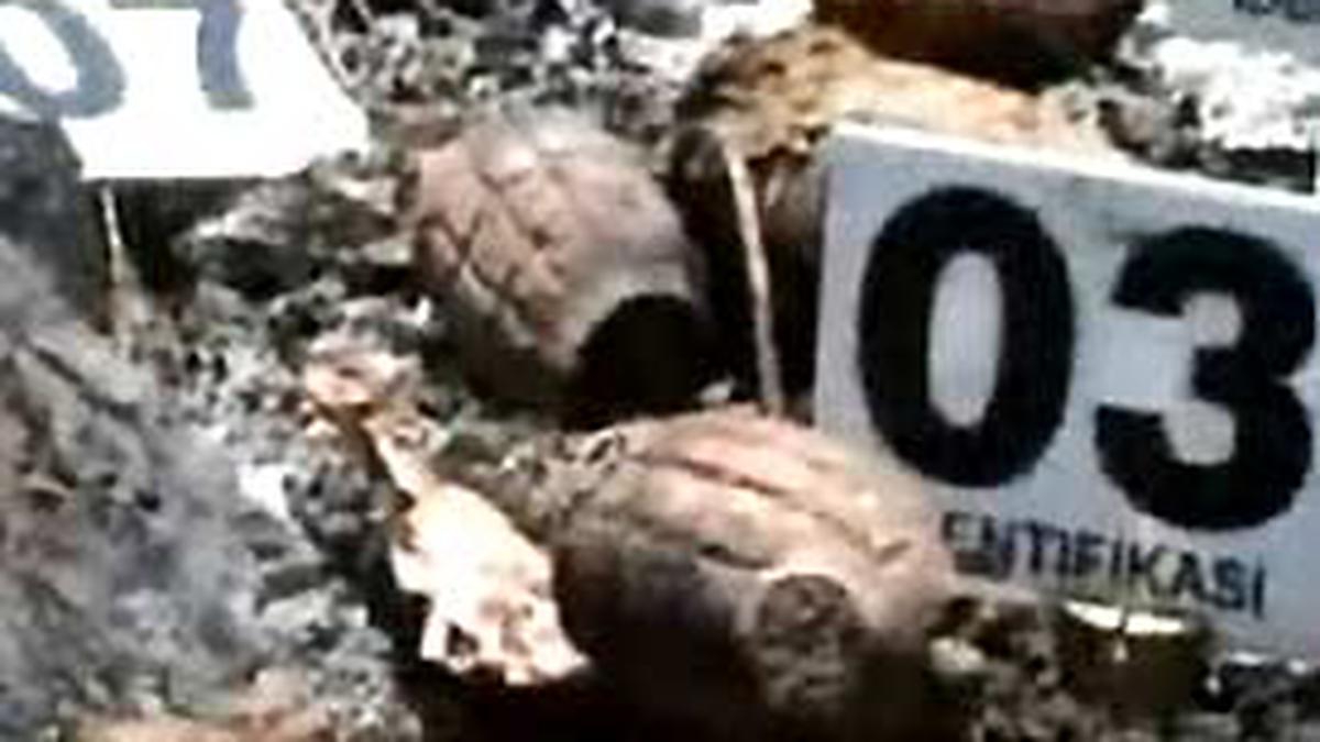 Ditemukan Granat dan Amunisi Aktif - News Liputan6.com