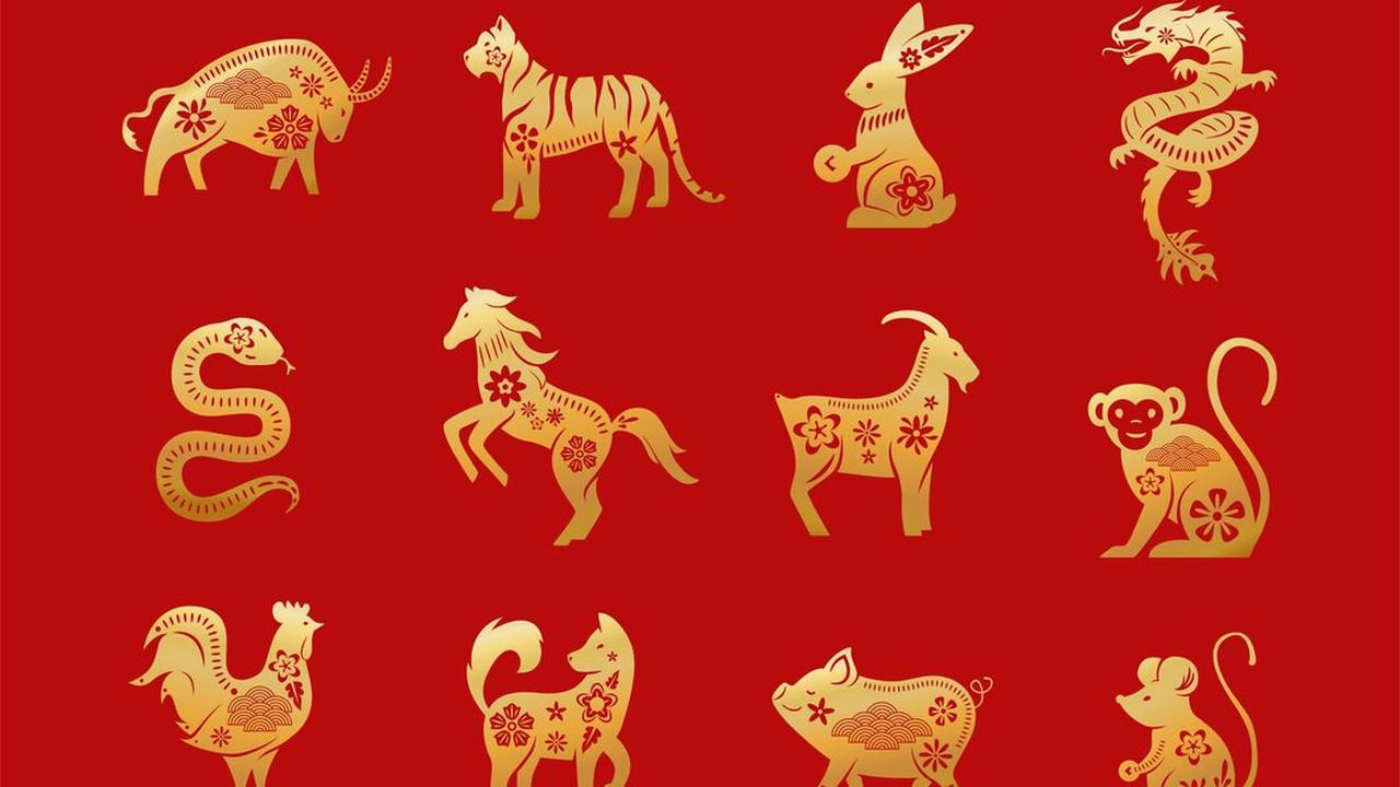 Unraveling Chinese Zodiac Enemy Signs: A Comprehensive Guide