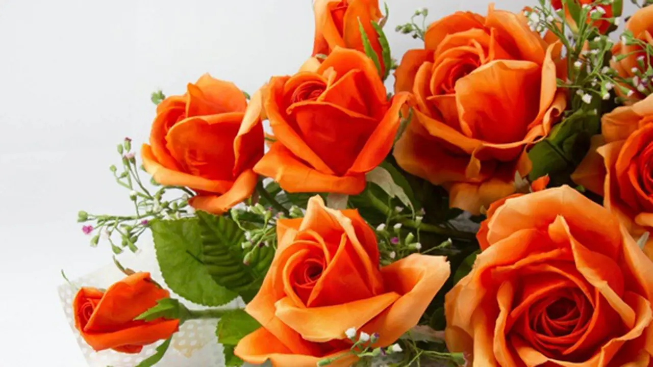 Ladies, Ini Lho 8 Makna di Balik Warna Bunga Mawar