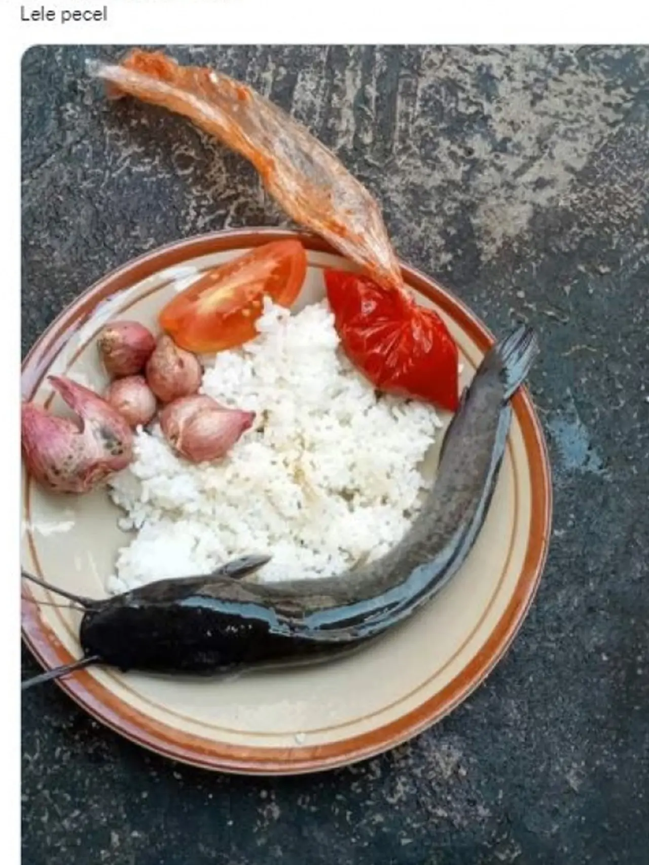 6 Potret Makanan Nyeleneh dari Ikan Lele, Dibuat Agar-Agar hingga ...