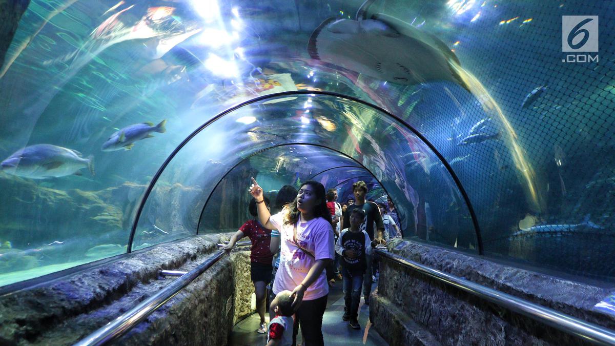 7 Tempat Wisata Ancol yang Seru, Alternatif Liburan di Kawasan Jakarta