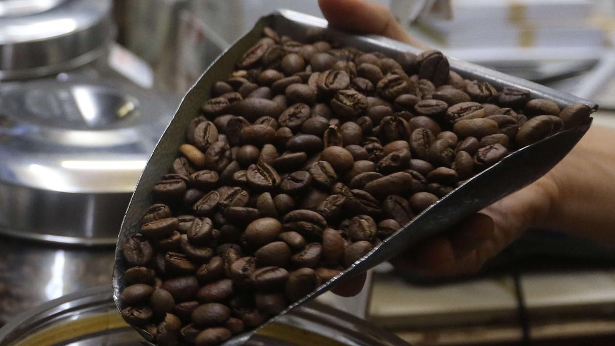 KBRI Kairo Fasilitasi Transaksi Kopi Indonesia-Mesir di Awal 2022