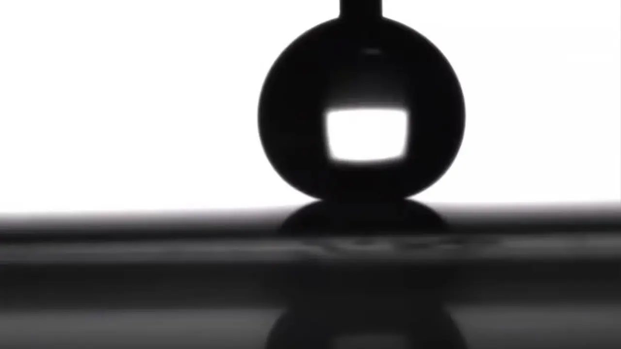 Terinspirasi Laba-Laba, Ilmuwan Ciptakan Zat Pelapis Tetap Kering Meski ...