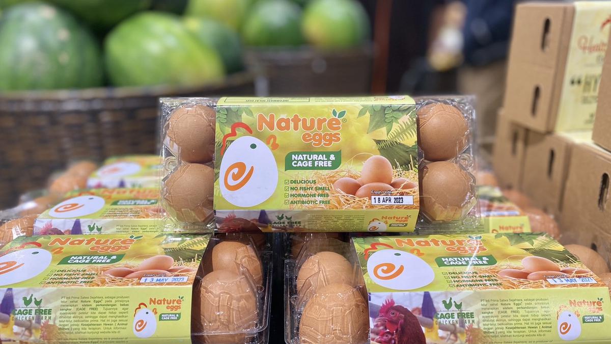 Mengenal Telur Bebas Kandang: Ayam Sehat Hasilkan Produk Berkualitas