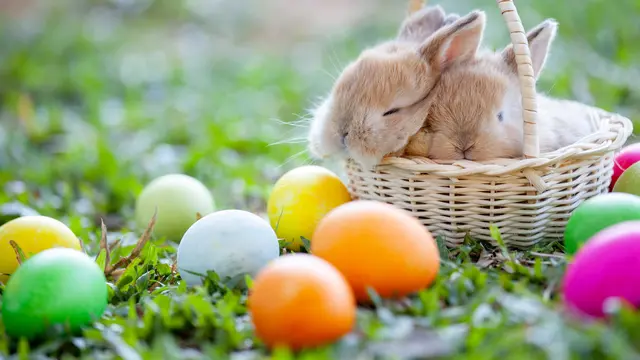 Makna 4 Simbol yang Identik dengan Perayaan Paskah - Hot Liputan6.com