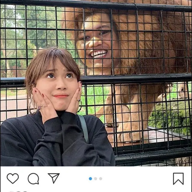 6 Editan Foto Marshel Widianto Bareng Artis Ini Kocak Banget, Bikin Ngakak - Hot Liputan6.com