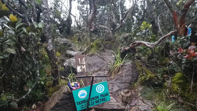 6 Fakta Menarik Gunung Tambuyukon yang Satu Kawasan dengan Gunung ...