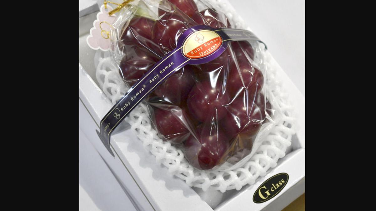 Buah Anggur Termahal Ada di Jepang, Harganya Capai Rp 155 Juta - Bisnis ...