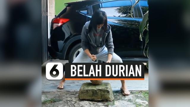 Berita Belah Durian Hari Ini - Kabar Terbaru Terkini | Liputan6.com
