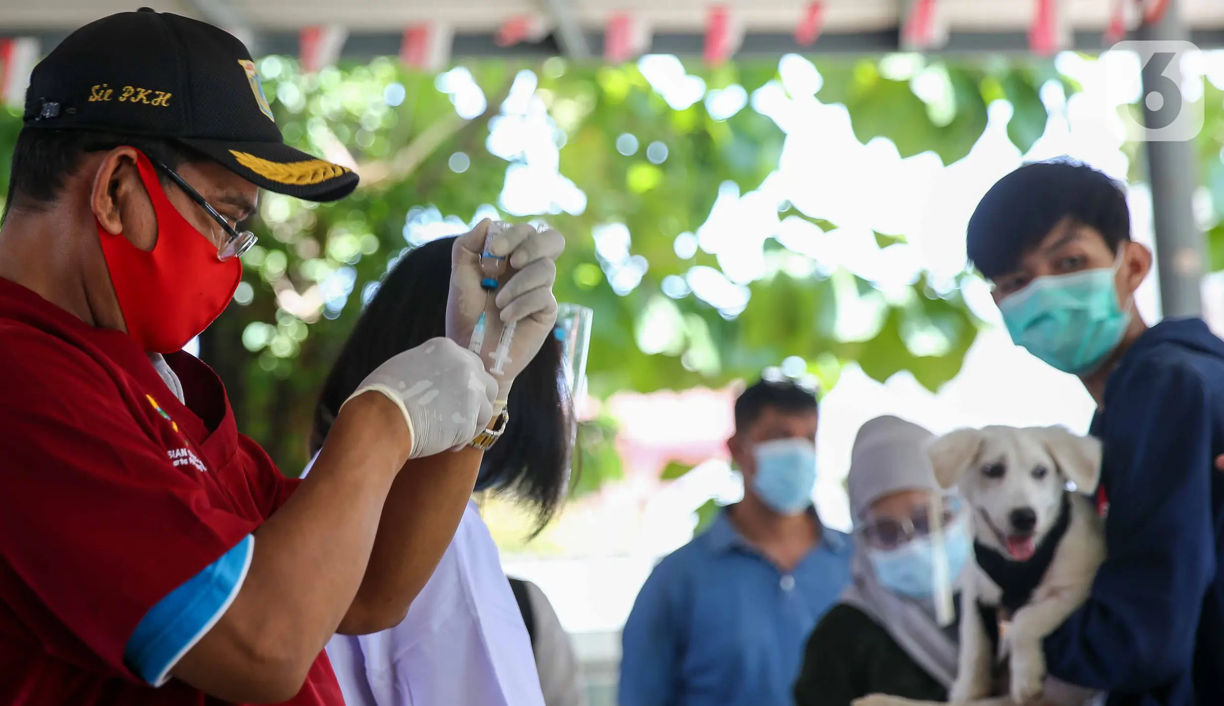 FOTO: Pemberian Vaksin Anti Rabies Gratis untuk Hewan Peliharaan - Foto ...