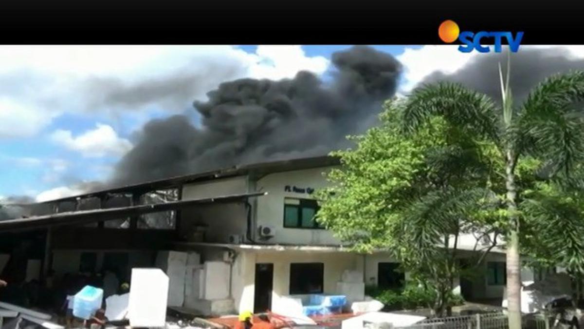 Penyebab Pabrik Styrofoam di Tangerang Terbakar - News Liputan6.com