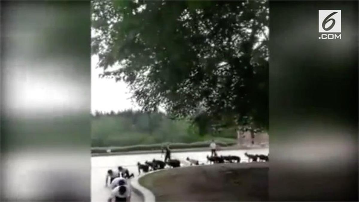 VIDEO: Karyawan Harus Merangkak Sebelum Masuk Restoran Ini - Global ...